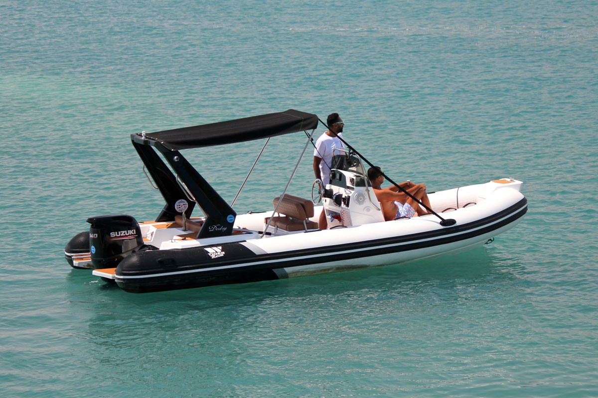Tiger TL 600 - Inflatable Boat Pro